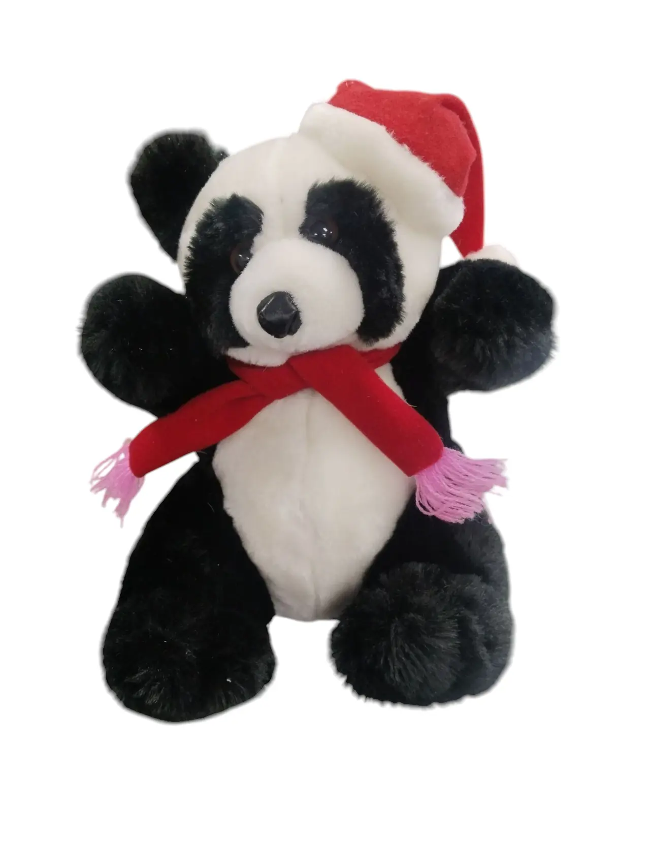 Teddy Bear - Cash Converters