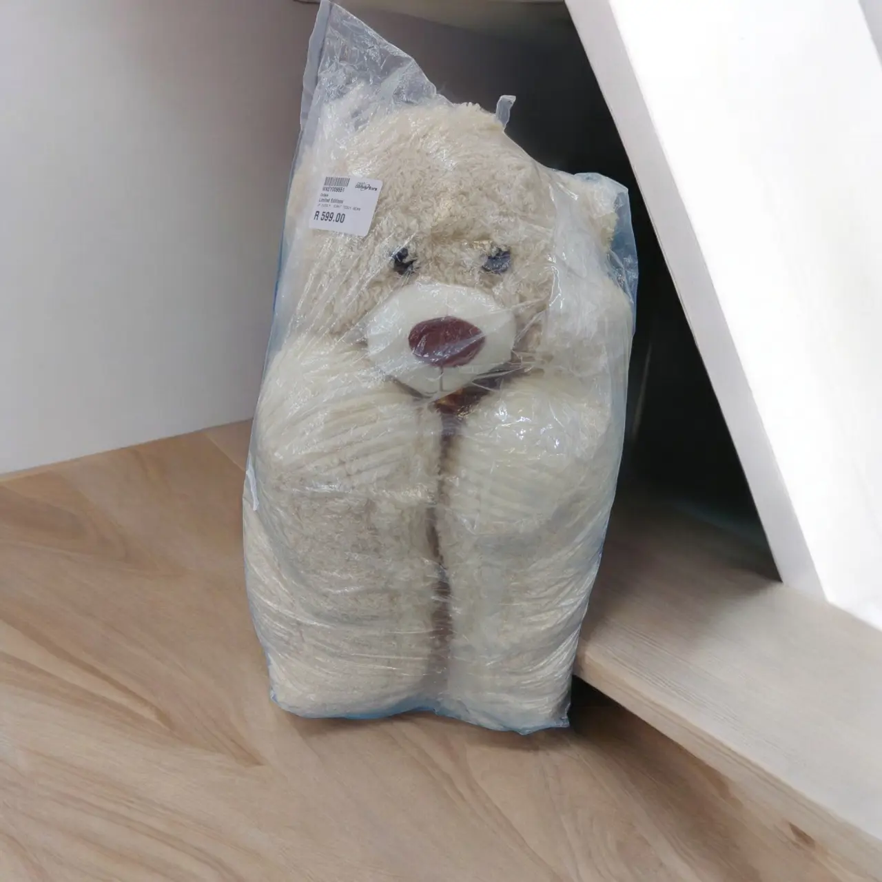 Jp Cuddly Giant Teddy Bear - Cash Converters