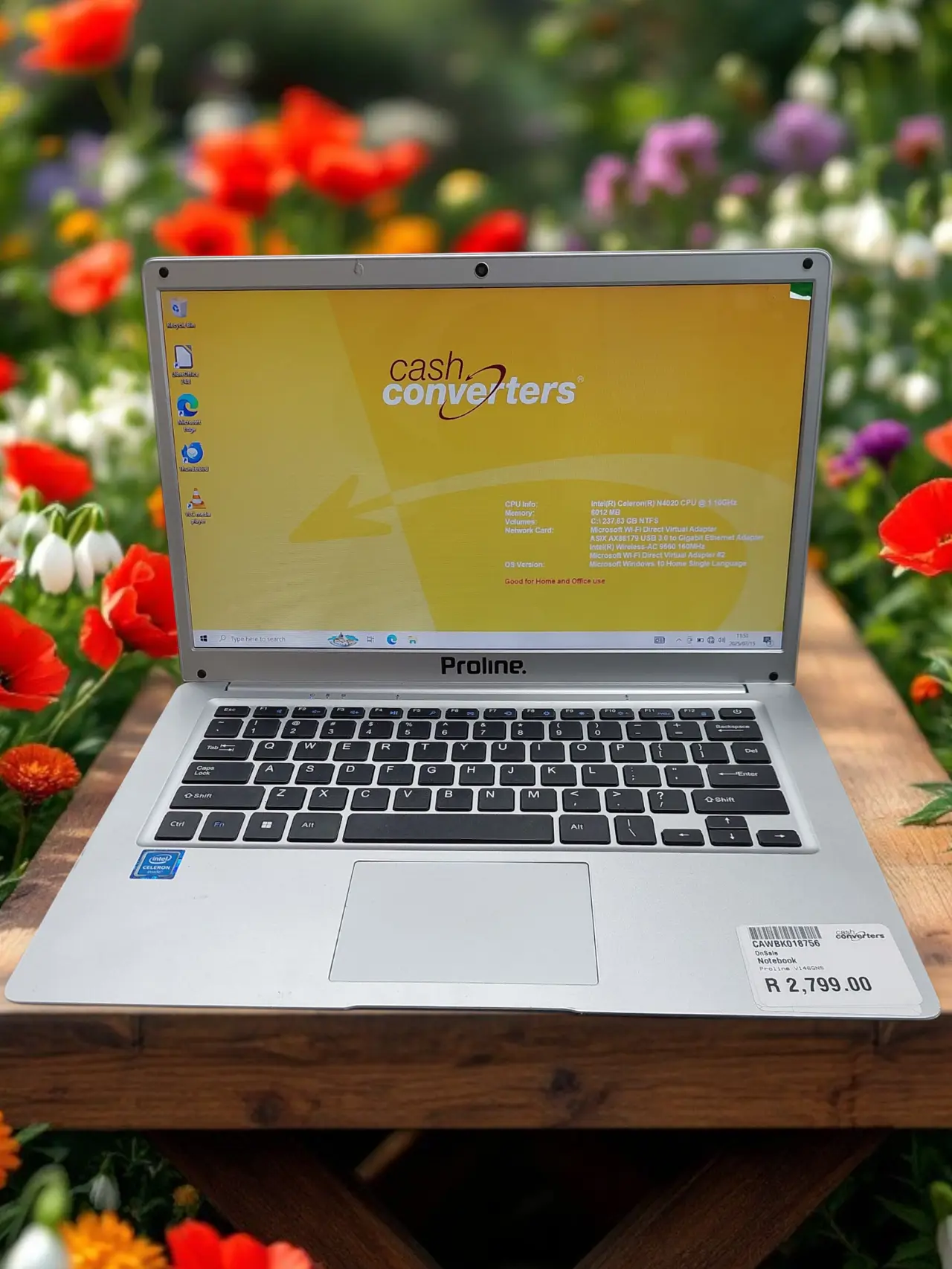 Proline V146gns Celeron N4020 8Gb Ram 256Gb Ssd Notebook- Silver - Cash ...