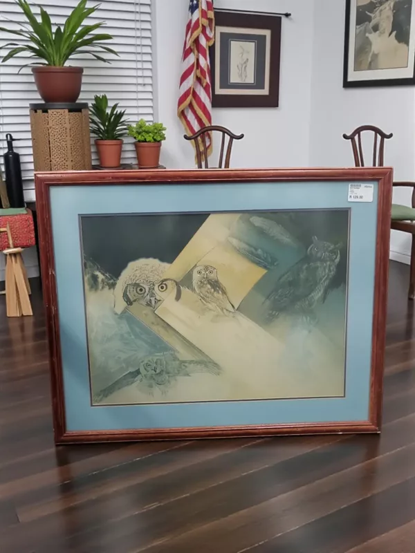 Owl Frame - Cash Converters